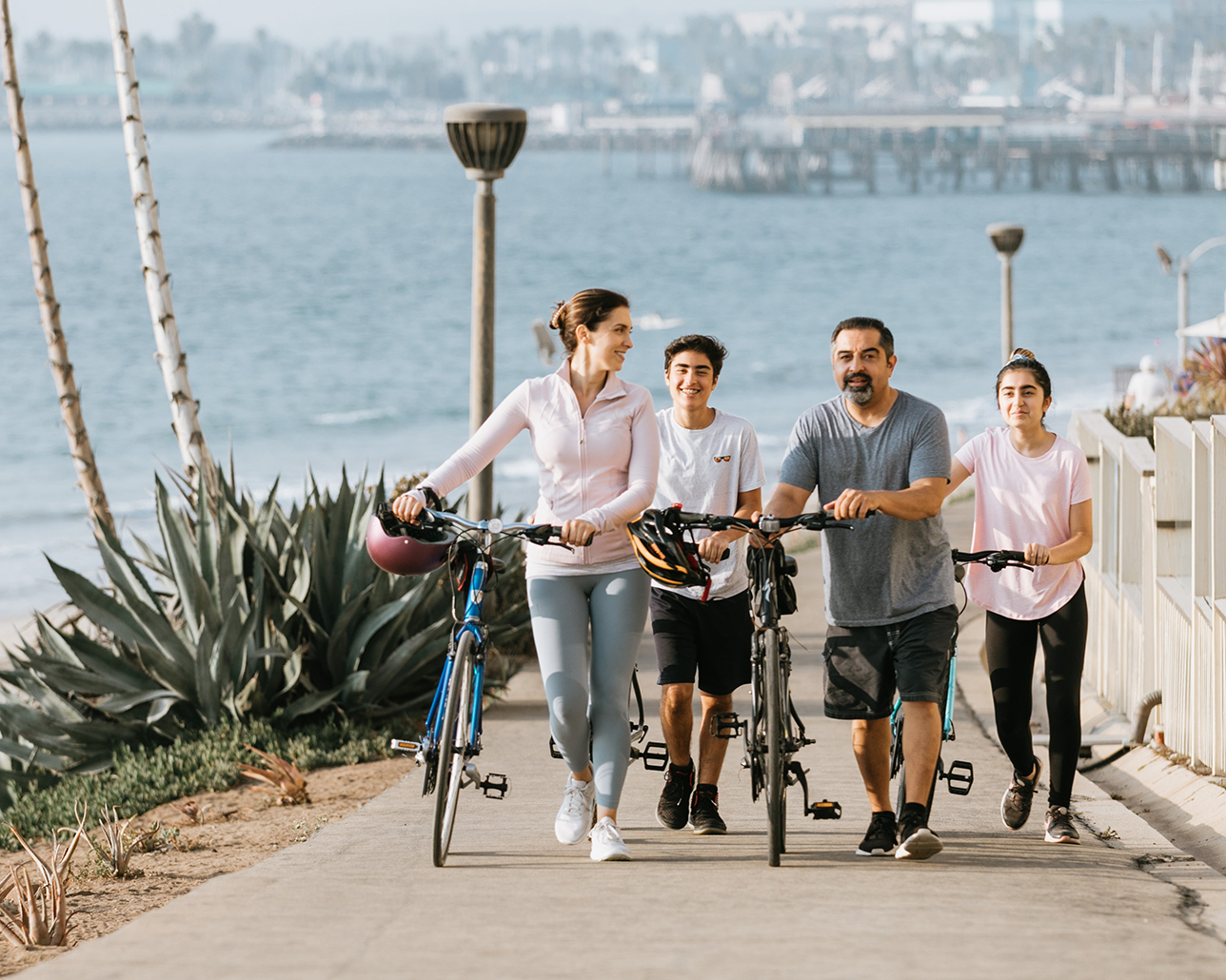 About The Brain Docs